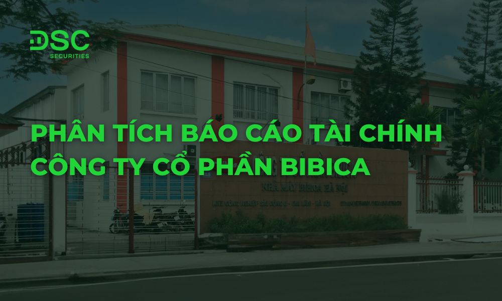 Phân tích báo cáo tài chính Công ty Cổ phần Bibica