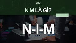 NIM trong lĩnh vực ngân hàng là gì? NIM như thế nào là tốt?
